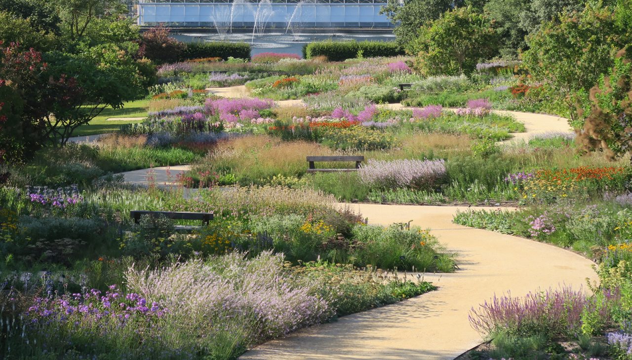 oudolf-landscape-oak-and-steel | Oxford Oak Public Space